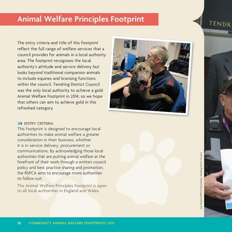 CAWF 2015 Entry Guidelines - Issue 1