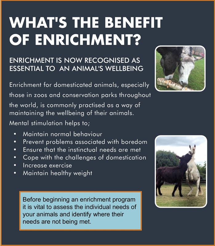 Environmenal Enrichment - March 2017