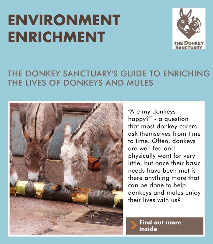 Environmenal Enrichment - March 2017