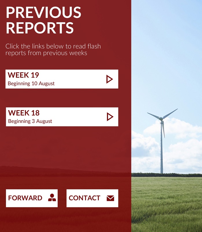 Flash Reports - Week 20