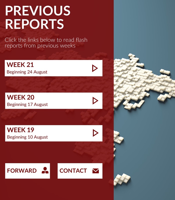 Flash Reports - Week 22