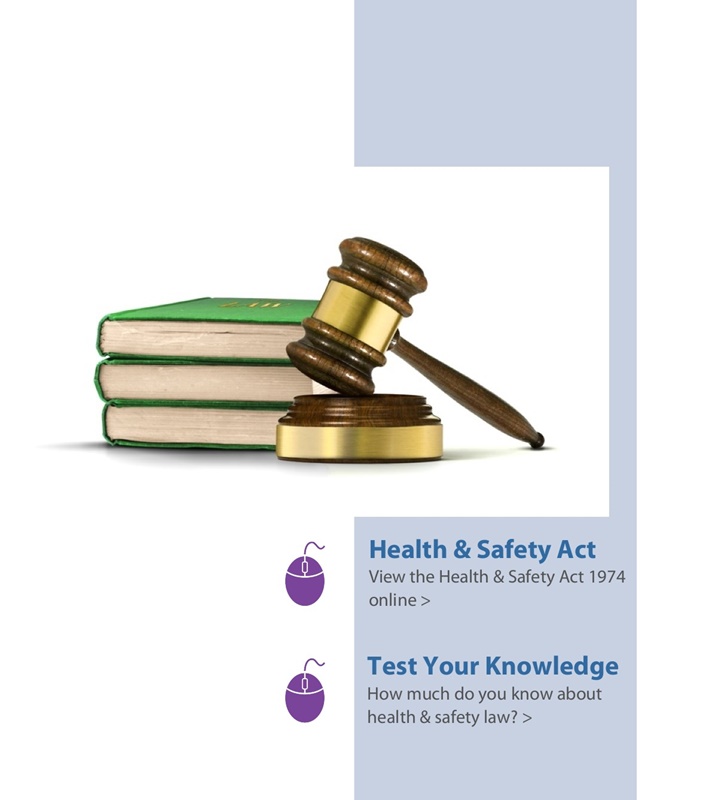 Learning System Health and Safety - Example