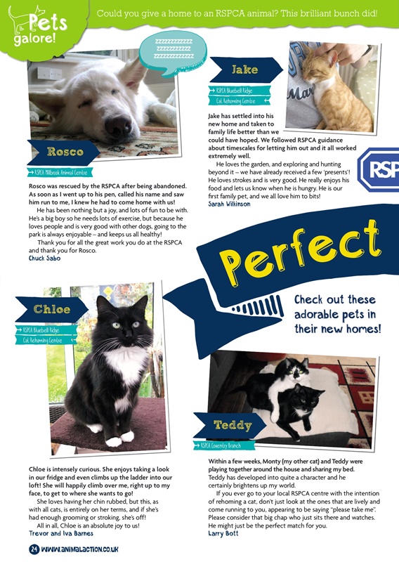 RSPCA Animal Action AprMay 2015 - Issue 1