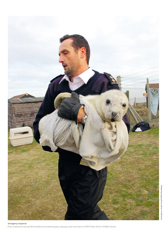 RSPCA Annual Review 2014 - Issue 1