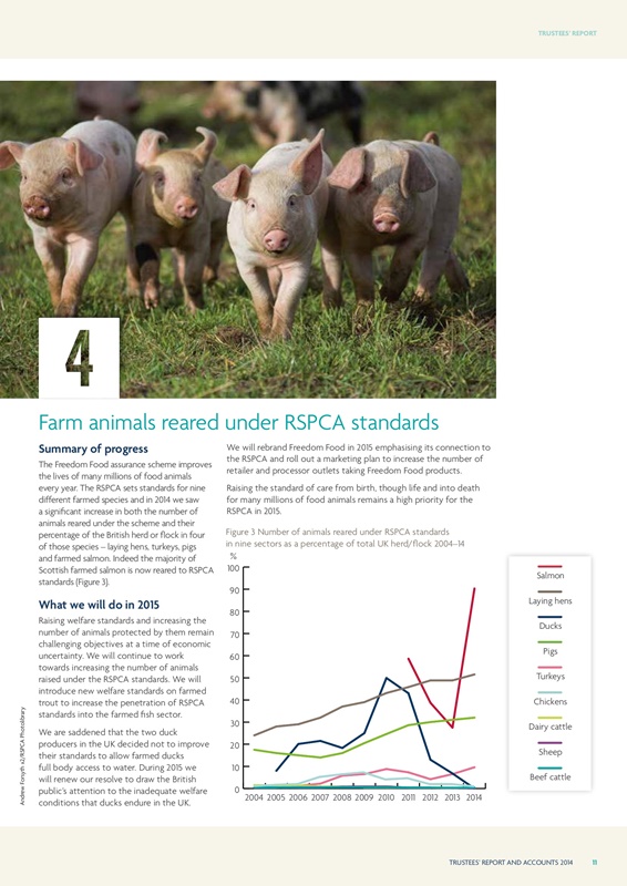 RSPCA Trustees' Report and Accounts 2014 - Issue 1
