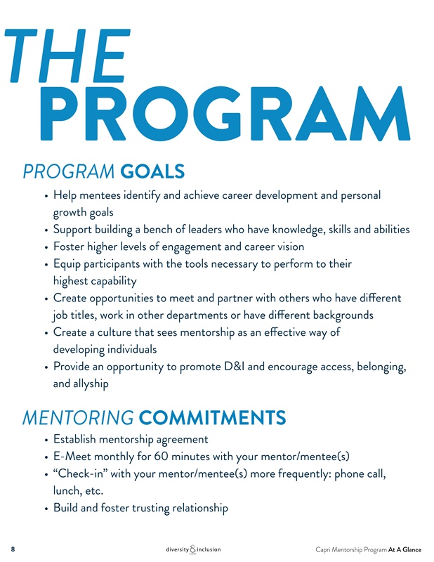 Global Capri Mentorship Program - At A Glance