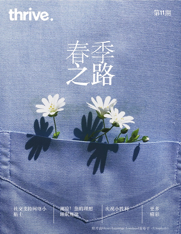 Capri Thrive - Issue 11 CN