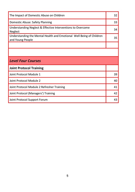 Multi Disciplinary Child Protection Training Programme - MDT Child Protection Training 24-25