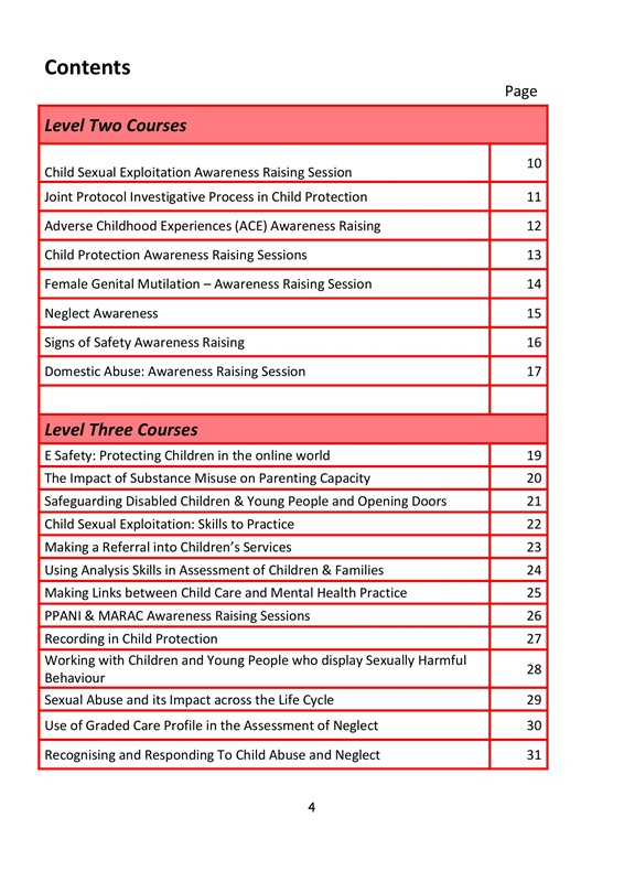 Multi Disciplinary Child Protection Training Programme - MDT Child Protection Training 24-25