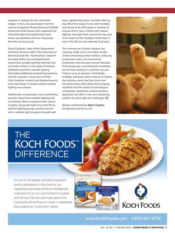 Reporter Magazine - Winter 2024